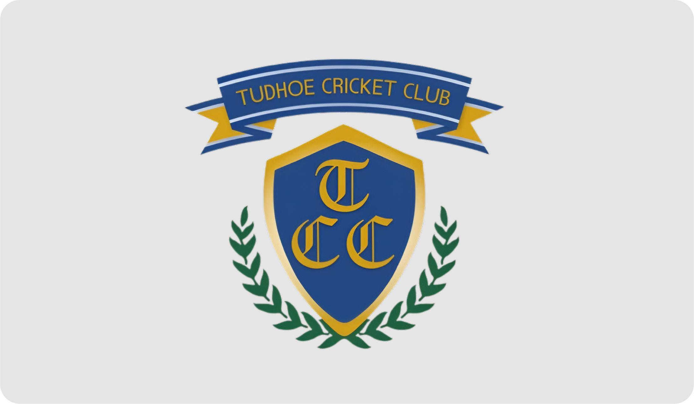 Sponsorship - Tudhoe Cricket Club - unity.world